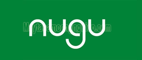 Idol nugu là gì? Nugu khác gì với flop?