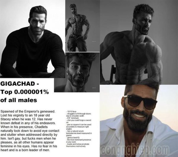 Gigachad là gì? Gigachad có phải người thật không?